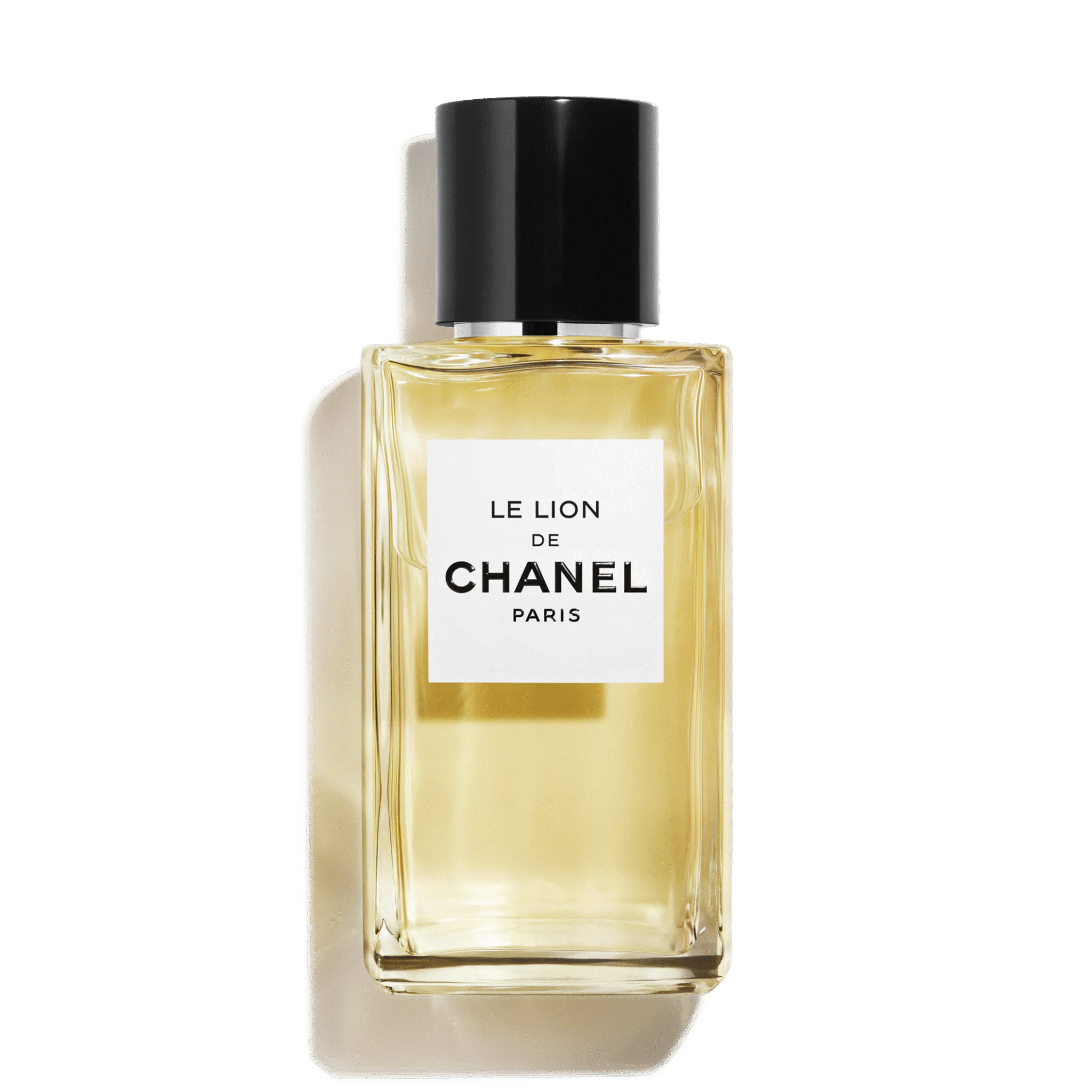 The Most Comprehensive Guide to All Chanel Perfumes: A Fragrance Editor ...